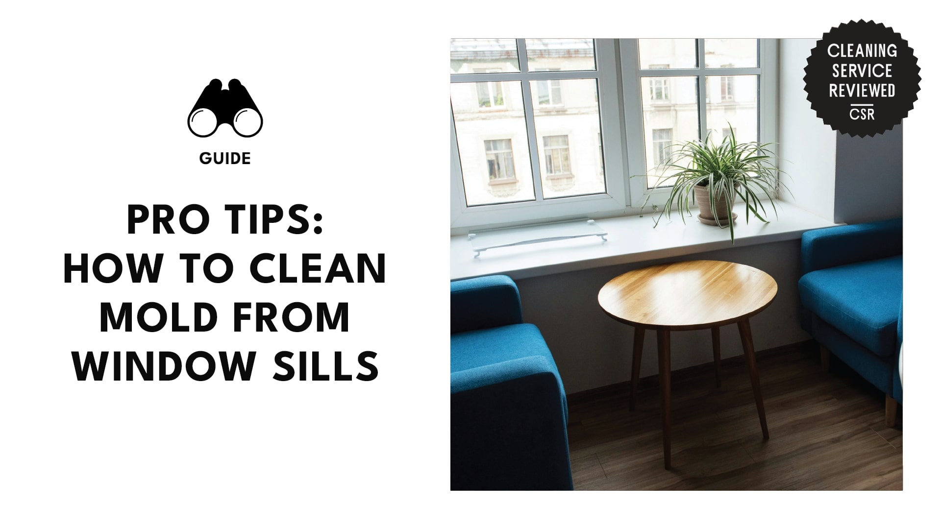 Expert Tips: How to Clean Mold from Window Sills [2026 ]